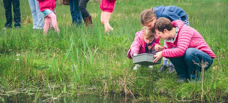 Science workshops | Brockhole
